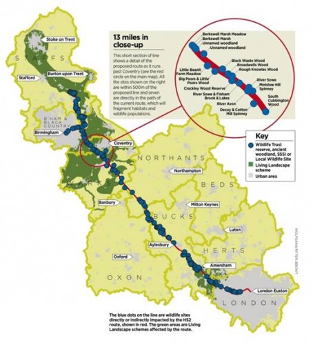 Wildlife Devastation of HS2 revealed – STOP HS2 – The national campaign ...