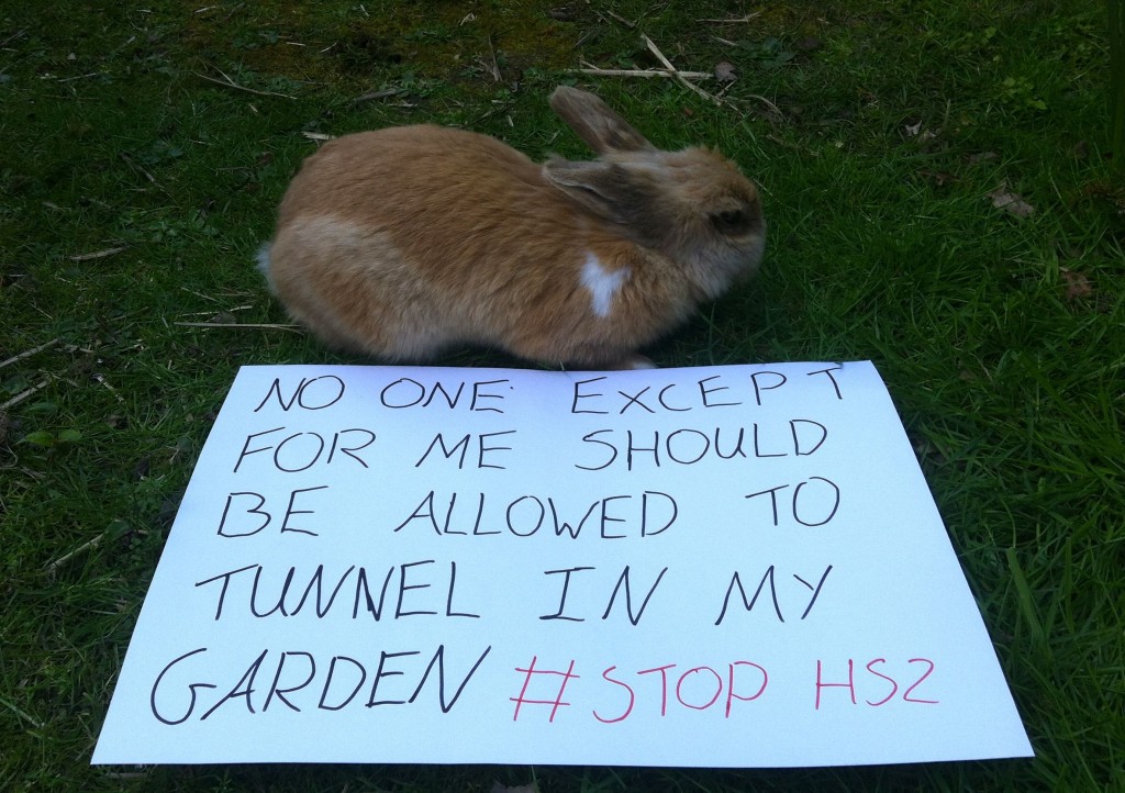 Take a Stop HS2 Selfie! – STOP HS2 – The national campaign against High ...