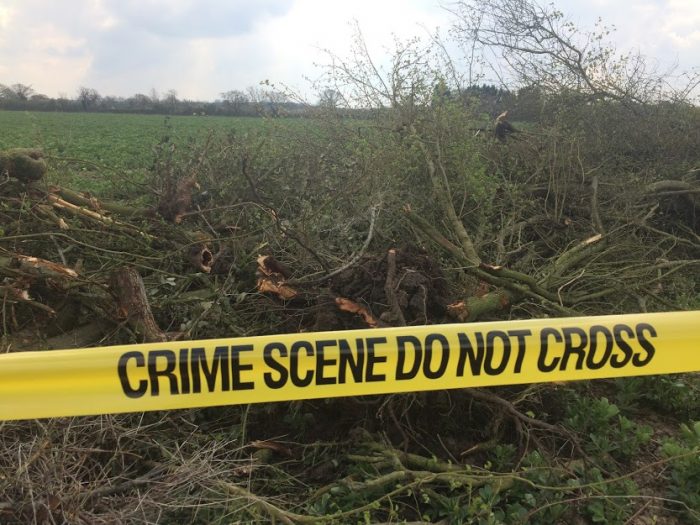 HS2 Turns Bucks Countryside into an Environmental Crime Scene. – STOP ...