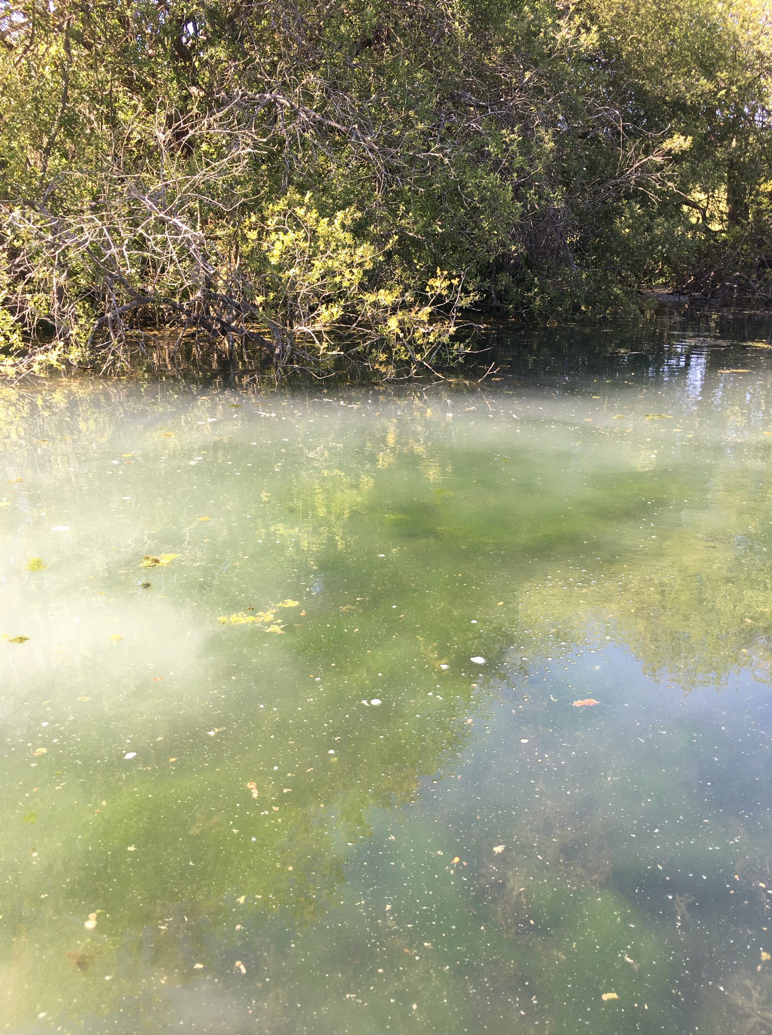 And so it begins: HS2 Contaminating the Chiltern Aquifer – STOP HS2 ...